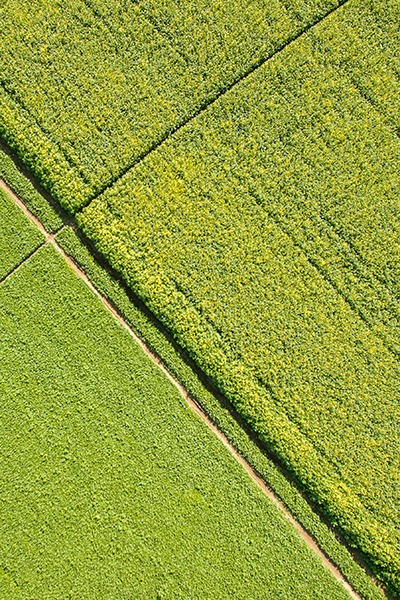 How does carbon get into the soil?