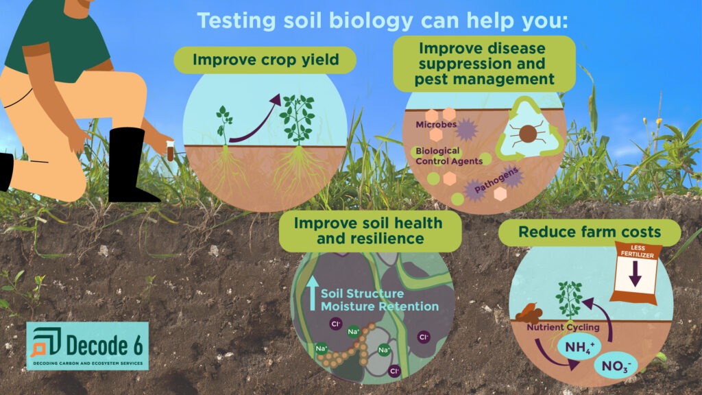The four benefits of biological soil testing include improved crop ...